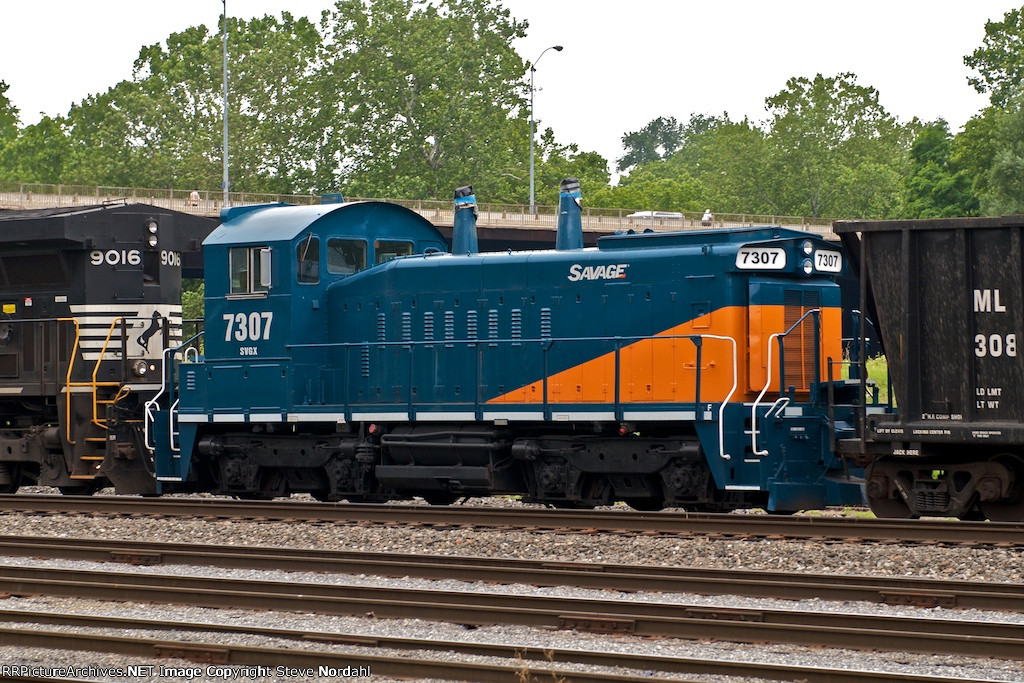 Savage SW1200 on NS-19G